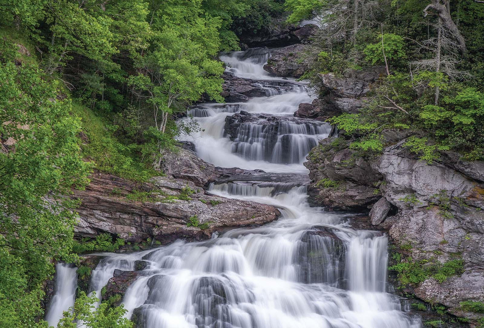 Terry Barnes Photography